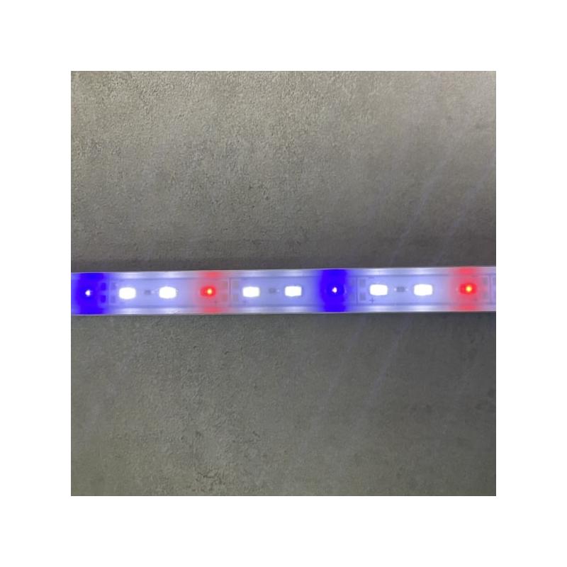 Aqualight LED lys i hvid/rød/blå 26 cm til dit akvarium | Tildinfisk.dk