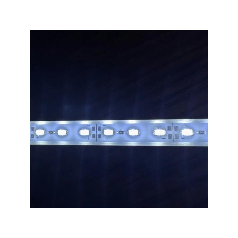 Aqualight LED lys i hvid 26 cm til dit akvarium | Tildinfisk.dk